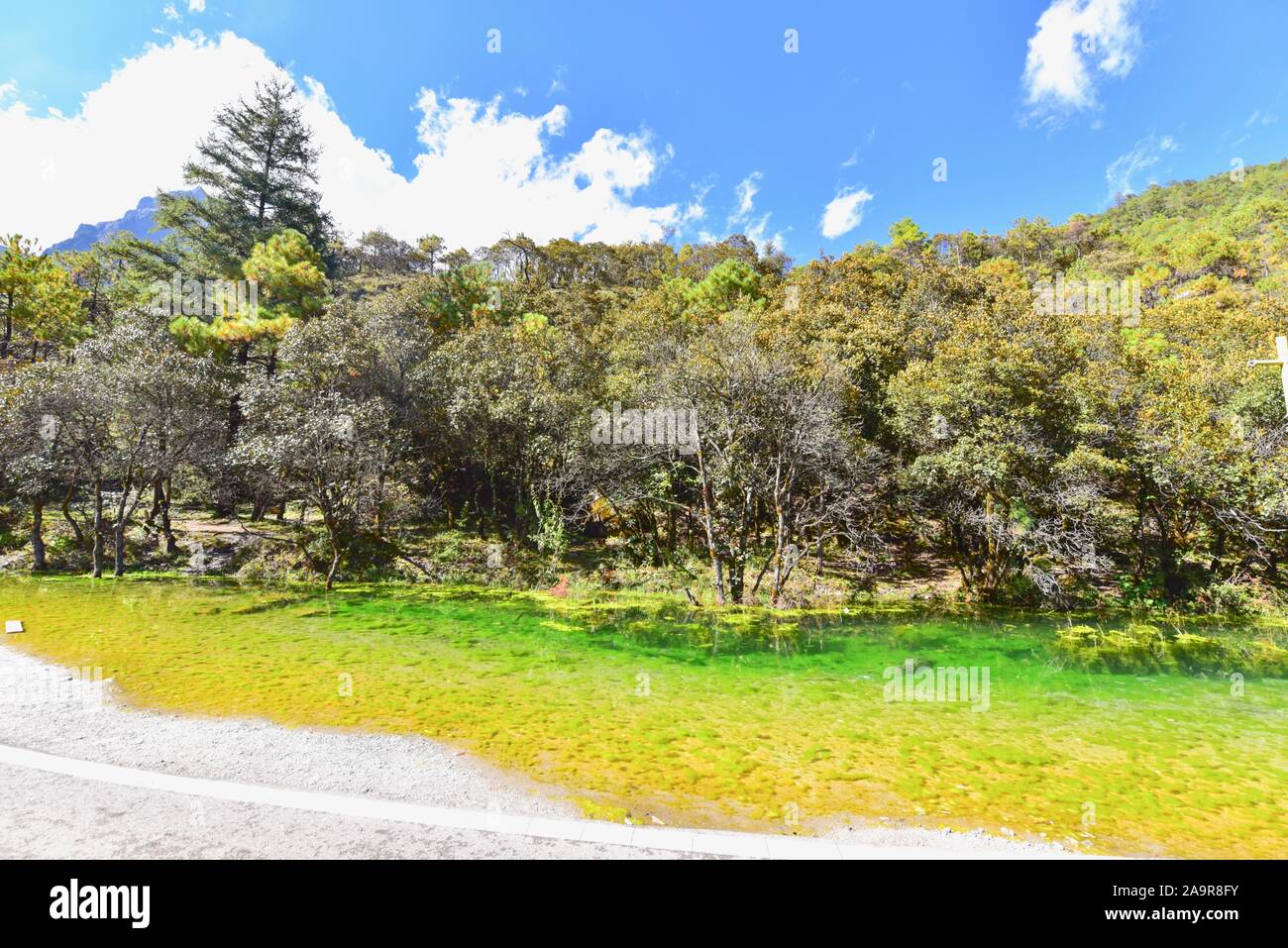 Beautiful Scenery of Pond at Blue Moon Valley in Lijiang, China Stock ...