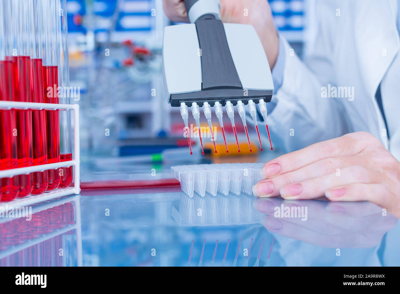 Multichannel pipette hi-res stock photography and images - Alamy