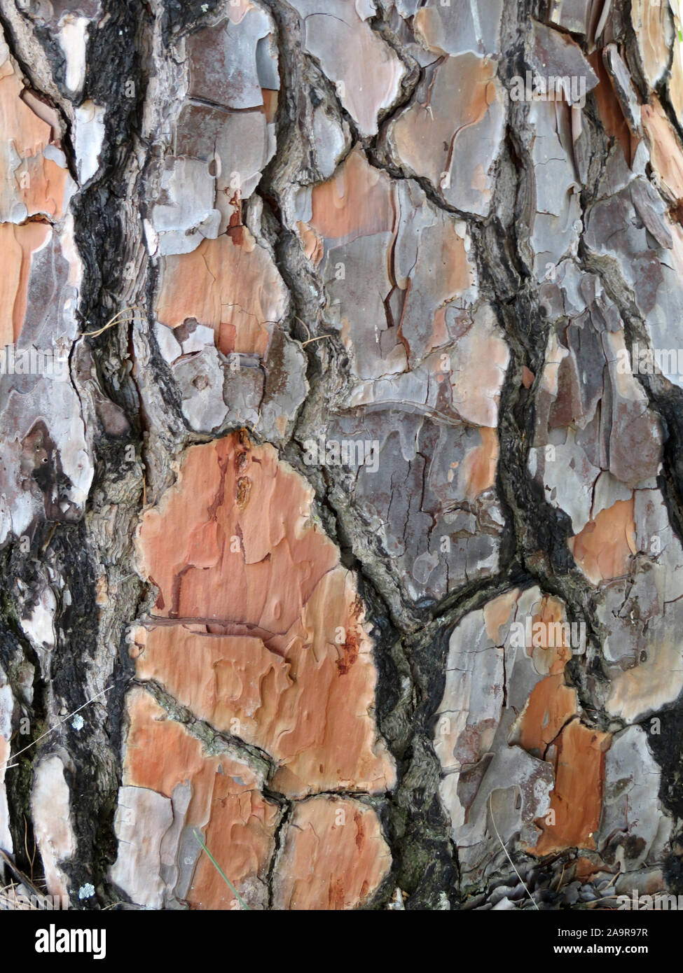 Coating protection form hi-res stock photography and images - Alamy