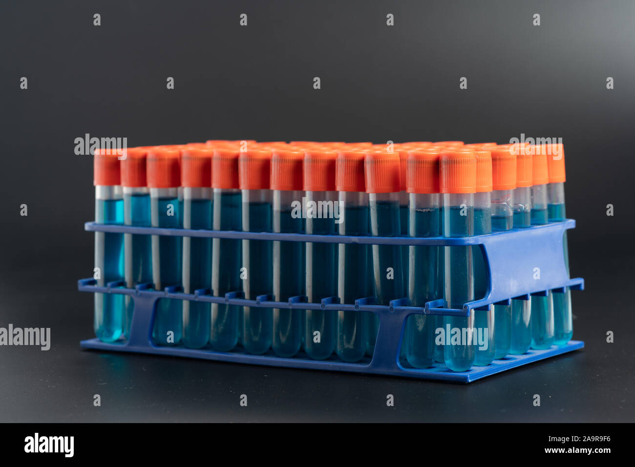 Test tubes with chemical samples in science laboratory Stock Photo - Alamy