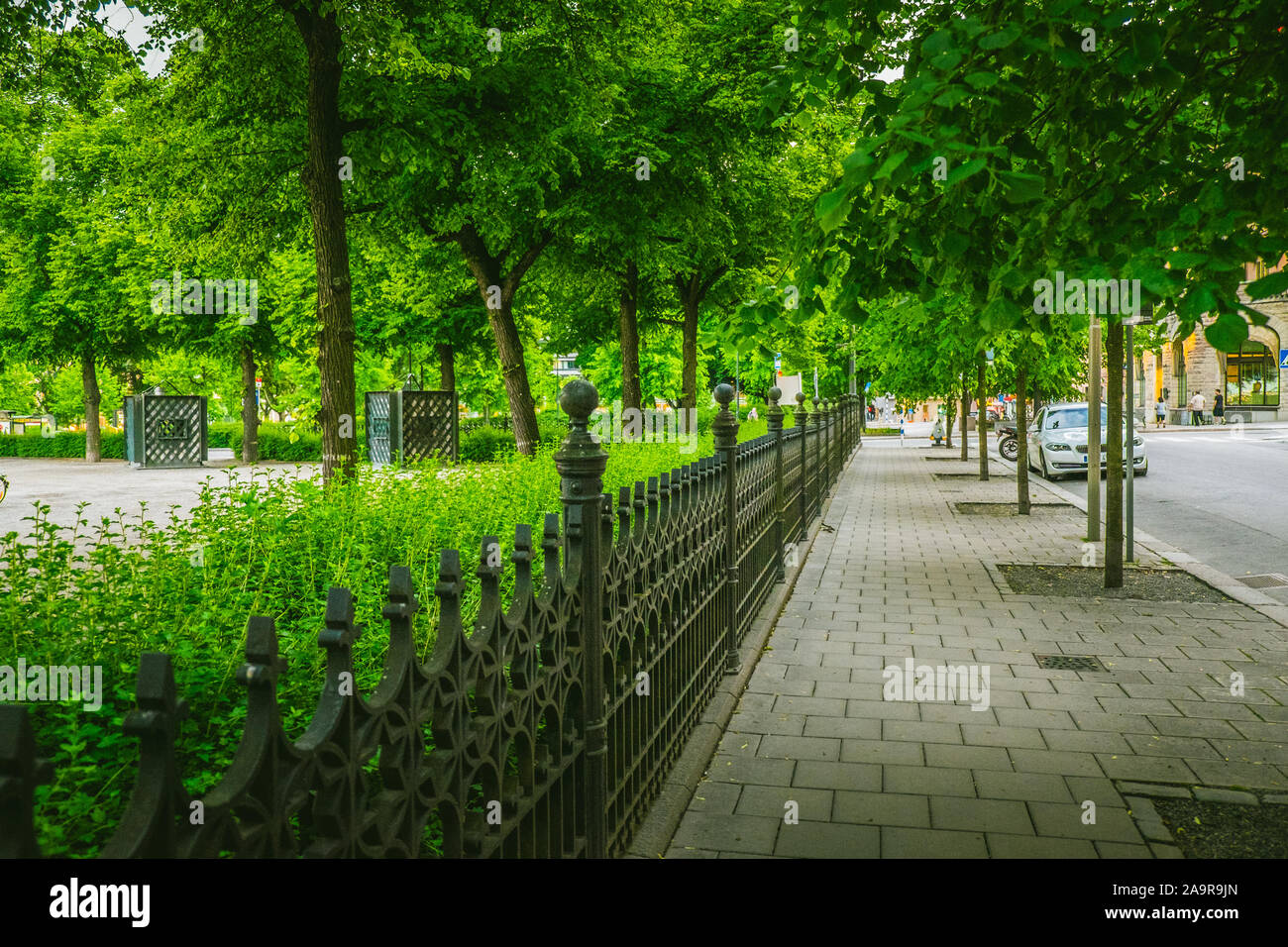 City streets trees hi-res stock photography and images - Alamy