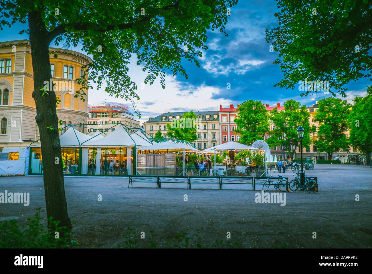 City streets trees hi-res stock photography and images - Alamy