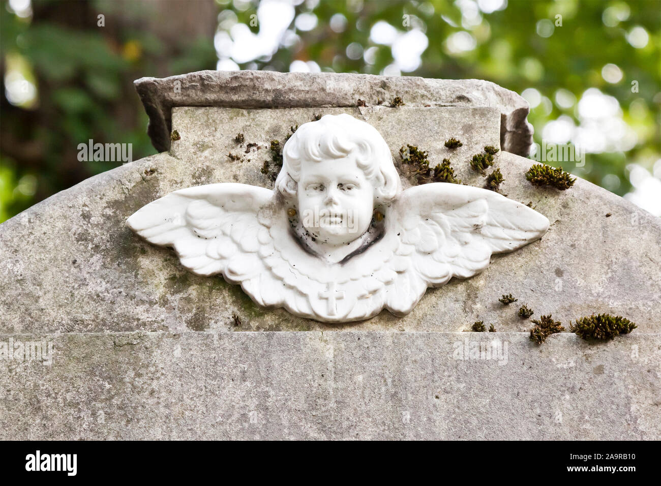 An image of a beautiful angel face Stock Photo - Alamy