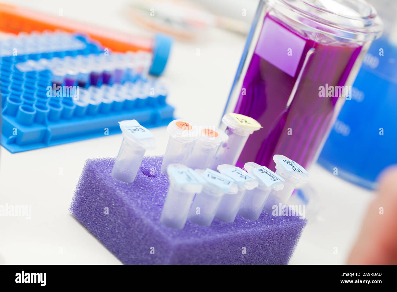 PCR Strip test tube in the laboratory Stock Photo - Alamy