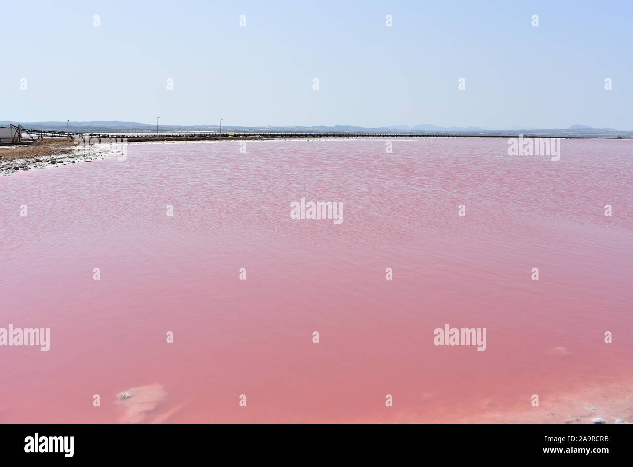 Pink salt lake at the Torrevieja salt works, Torrevieja, Alicante ...