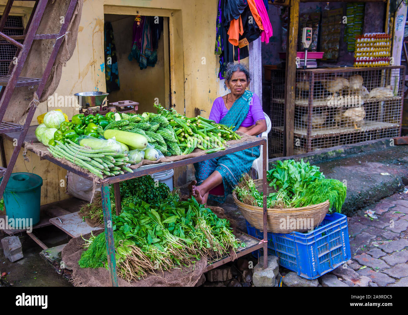 Portrait of an Indian woman in Asalfa neighbourhood in Ghatkopar, a ...