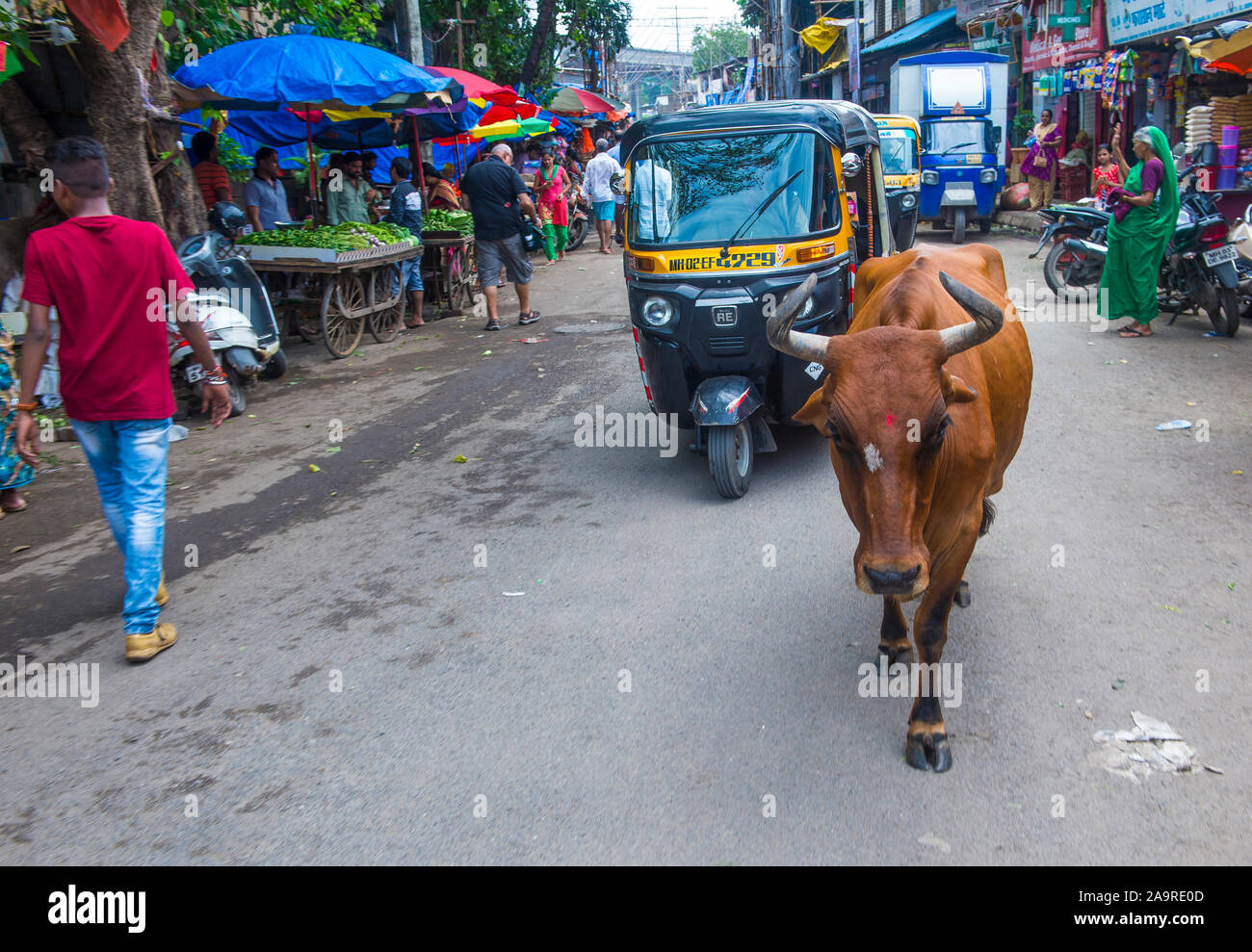 Street view of Asalfa neighbourhood in Ghatkopar, a suburb of Mumbai ...
