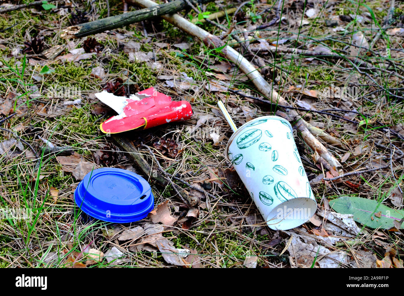 Discarded coffee cup and fast food packaging in the forest on ground ...
