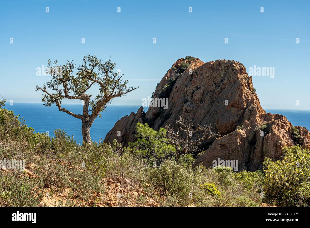 cap roux hiking trail In the red rocks of the Esterel mountains with ...