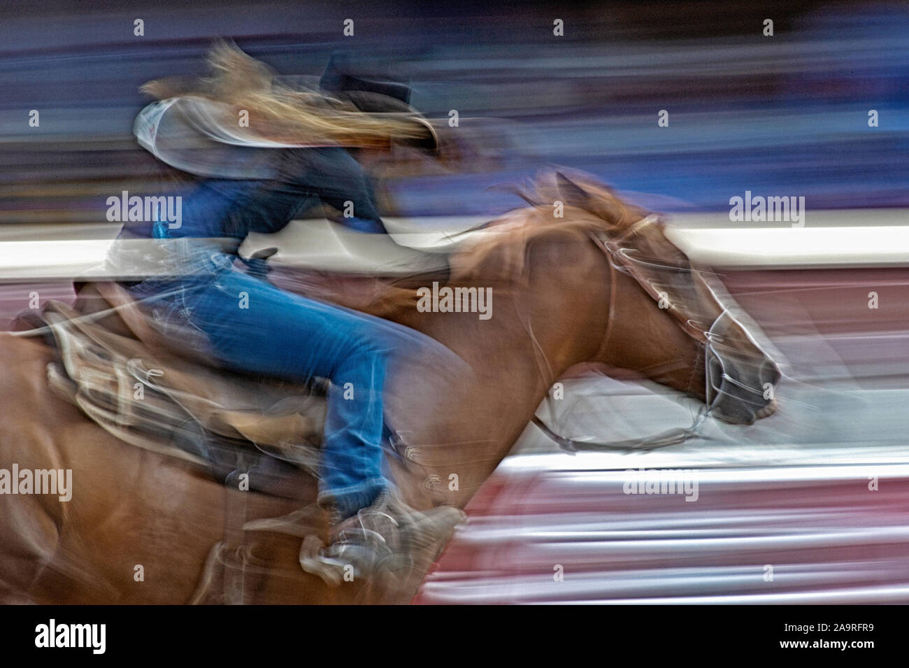 Calgary stampede cowgirl hi-res stock photography and images - Alamy