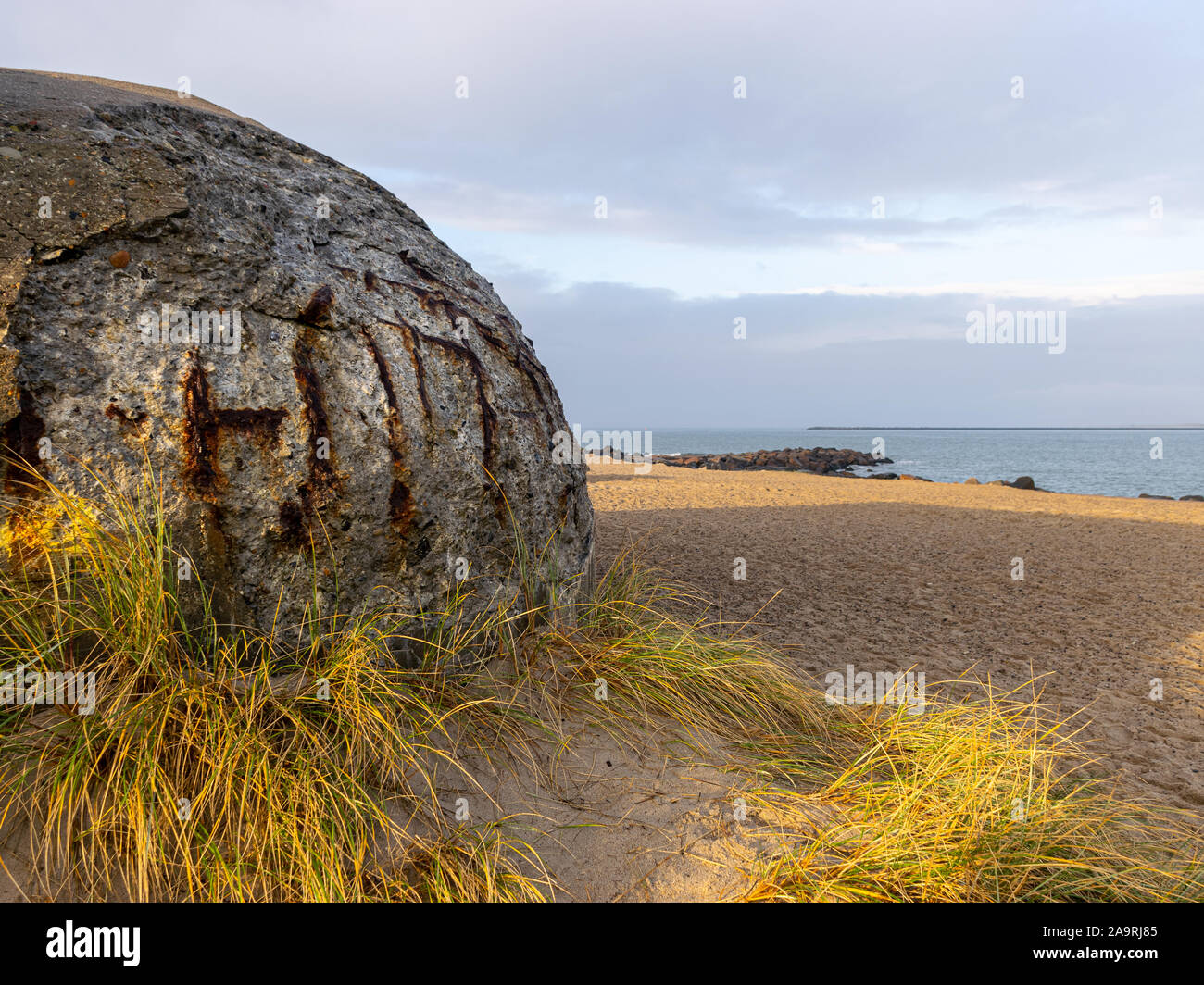 landscape with dunes, dry grass and sand texture Stock Photo - Alamy