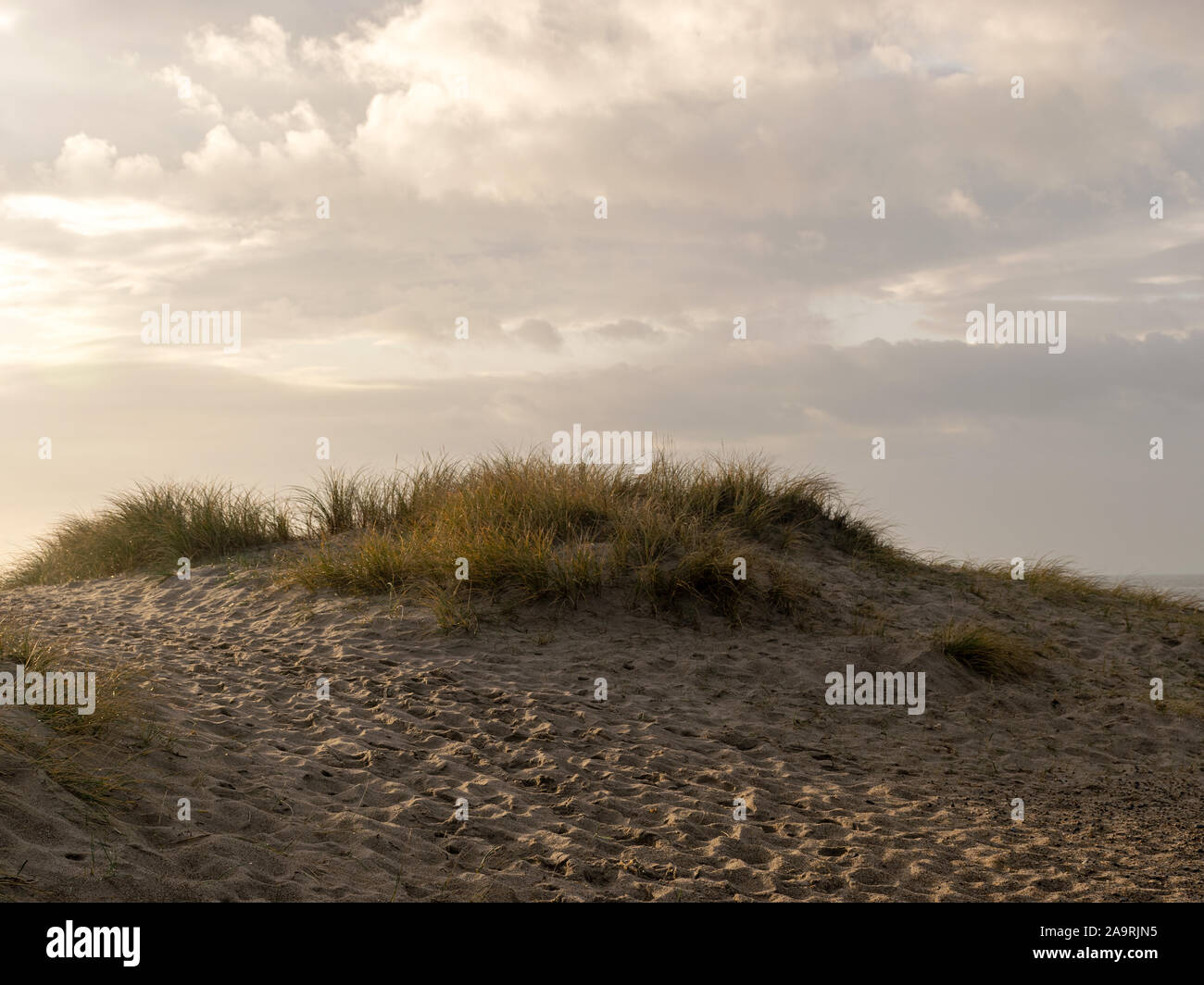 landscape with dunes, dry grass and sand texture Stock Photo - Alamy