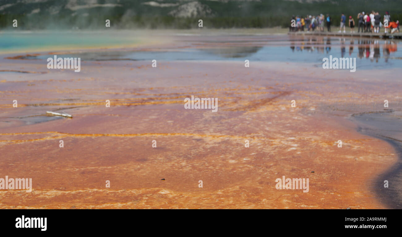in USA inside the yellowstone national park the brauty of amazing ...