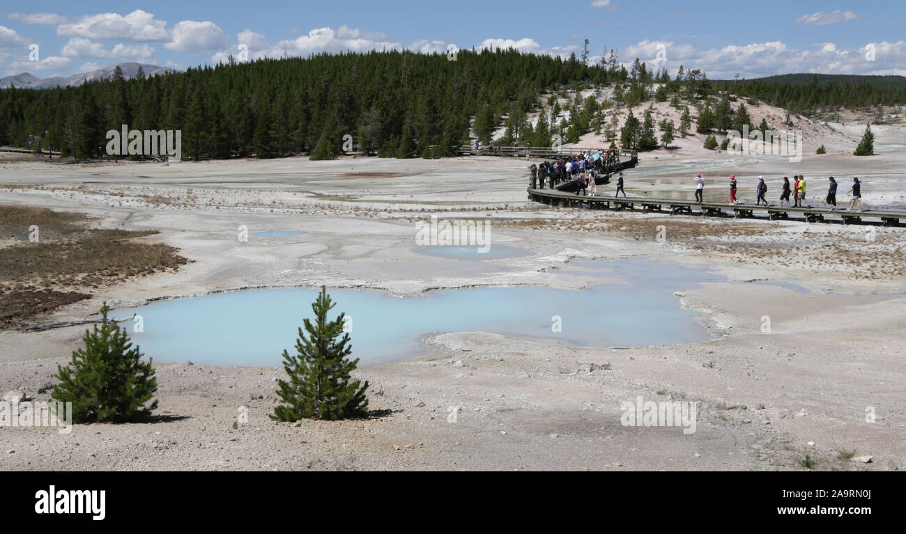 in USA inside the yellowstone national park the brauty of amazing ...