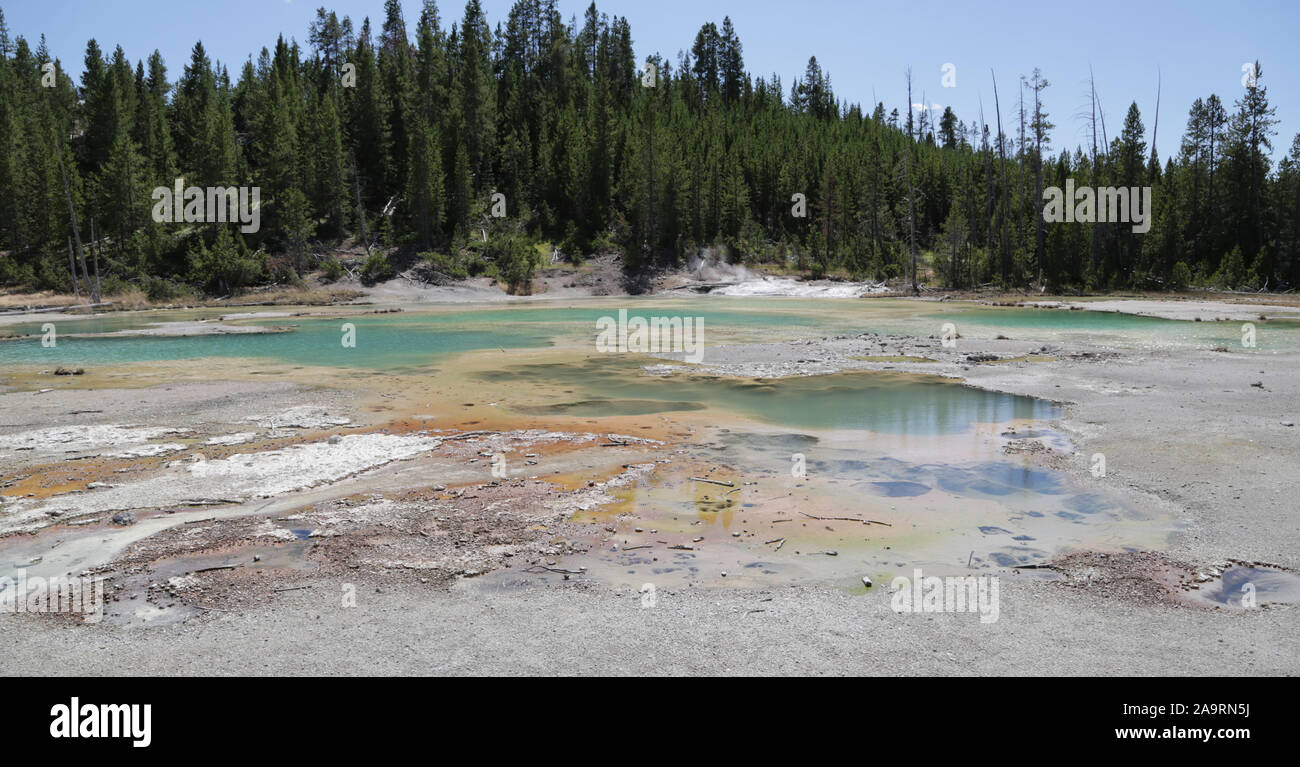 in USA inside the yellowstone national park the brauty of amazing ...