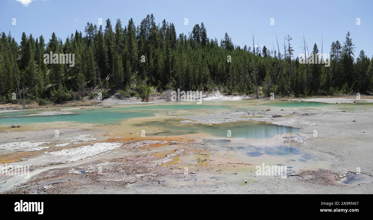 in USA inside the yellowstone national park the brauty of amazing ...