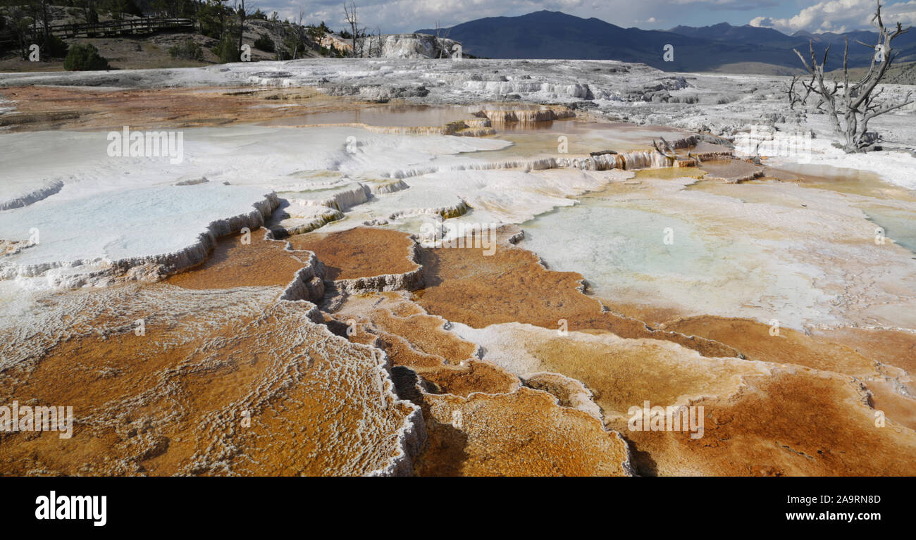 in USA inside the yellowstone national park the brauty of amazing ...