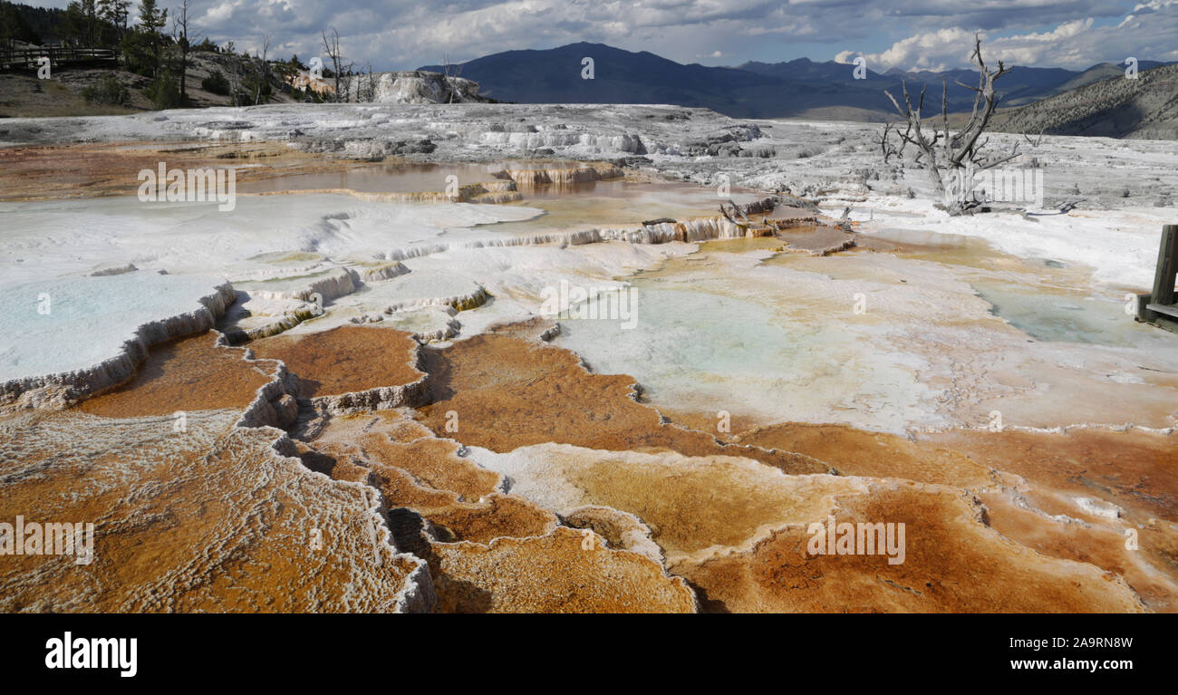 in USA inside the yellowstone national park the brauty of amazing ...