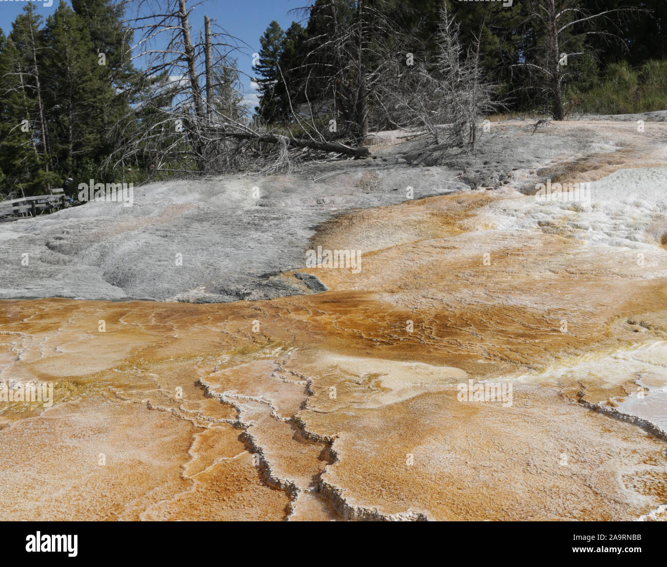 in USA inside the yellowstone national park the brauty of amazing ...