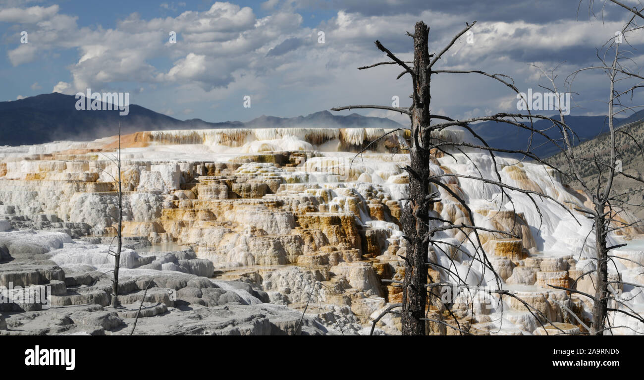 in USA inside the yellowstone national park the brauty of amazing ...