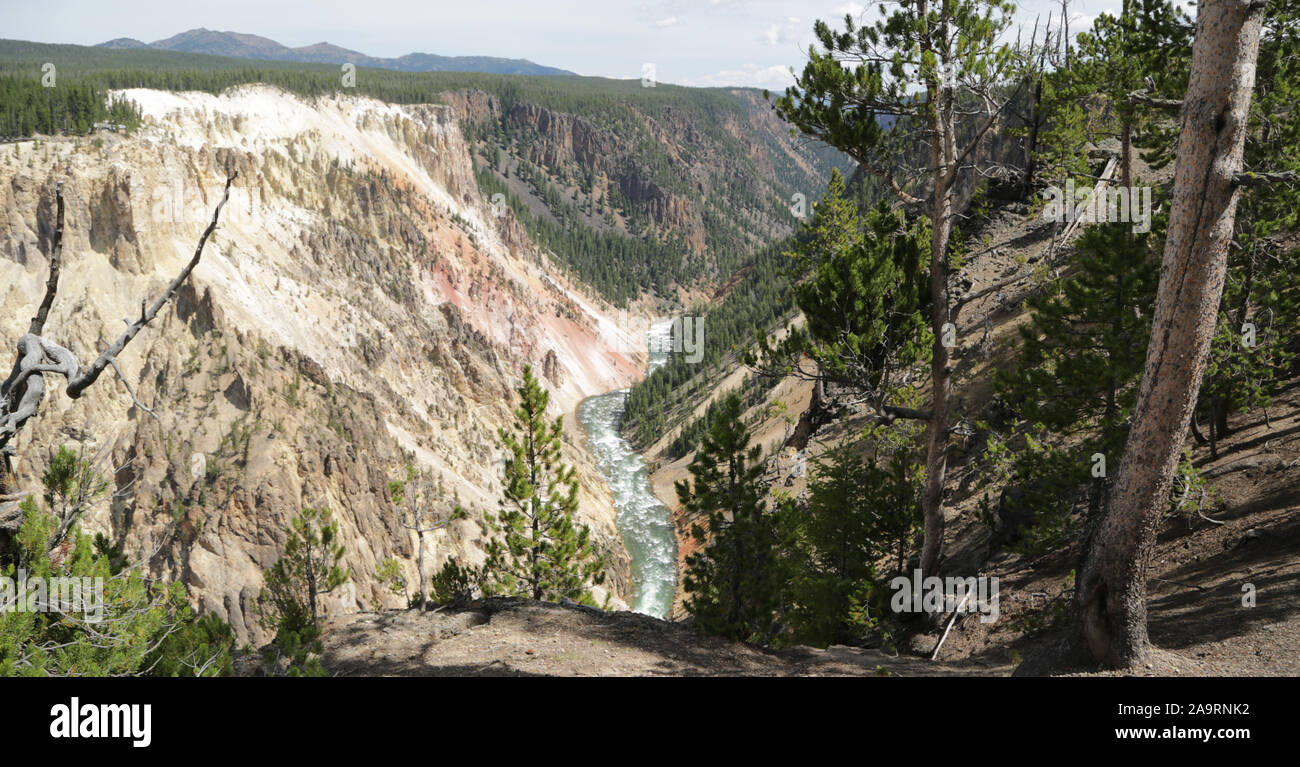 in USA inside the yellowstone national park the brauty of amazing ...