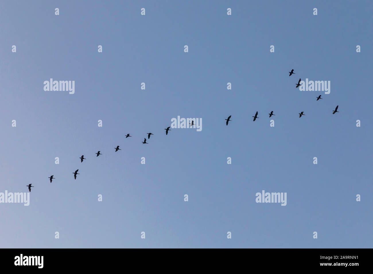 Wedge formation hi-res stock photography and images - Alamy