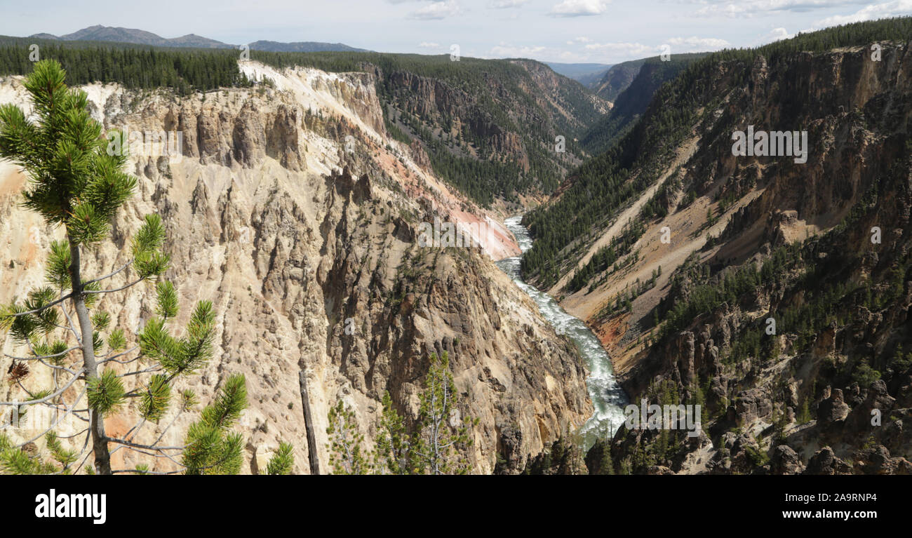 in USA inside the yellowstone national park the brauty of amazing ...