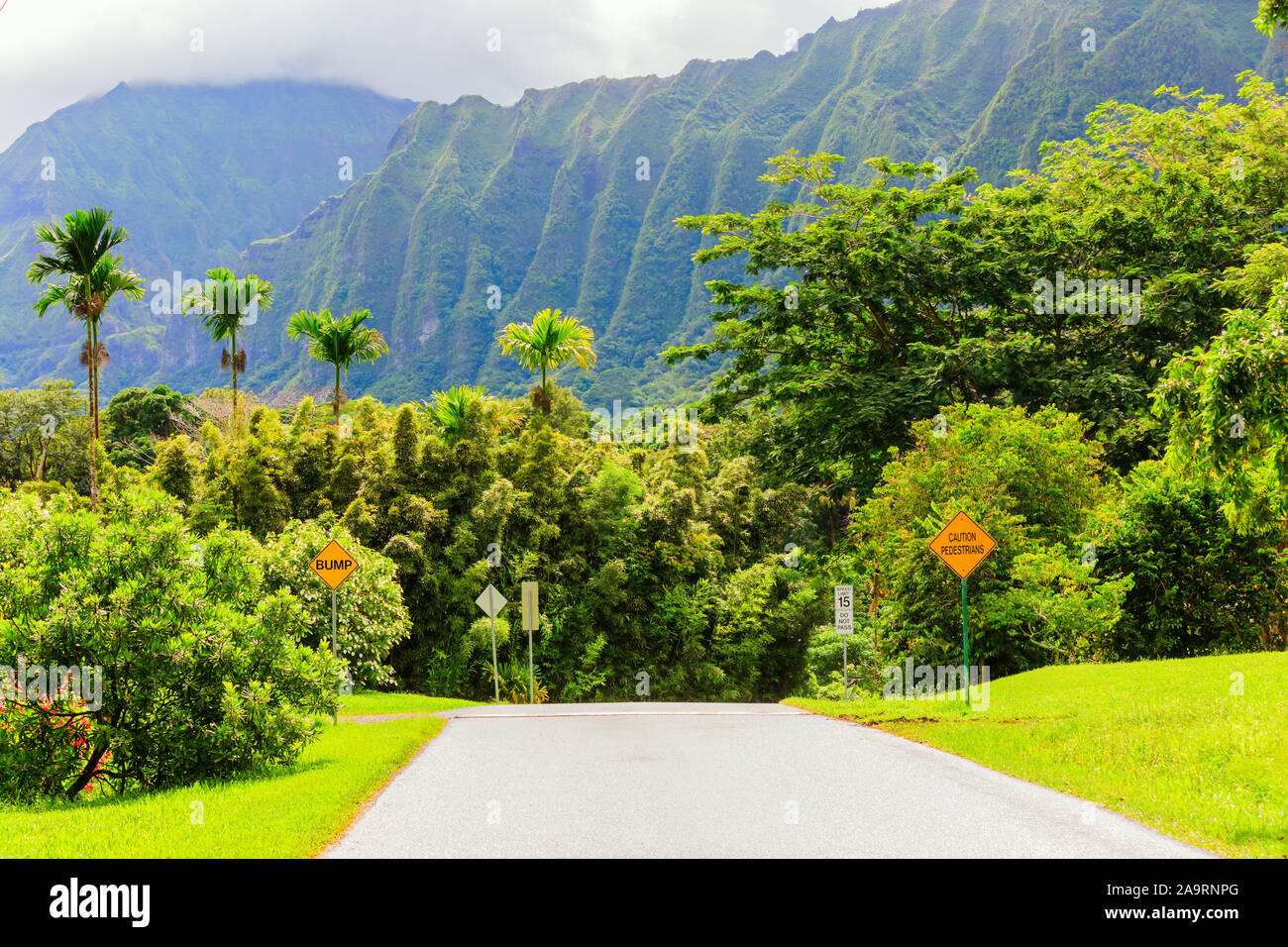 view of the Ho’omaluhia Botanical Garden in Oahu, Hawaii Stock Photo ...