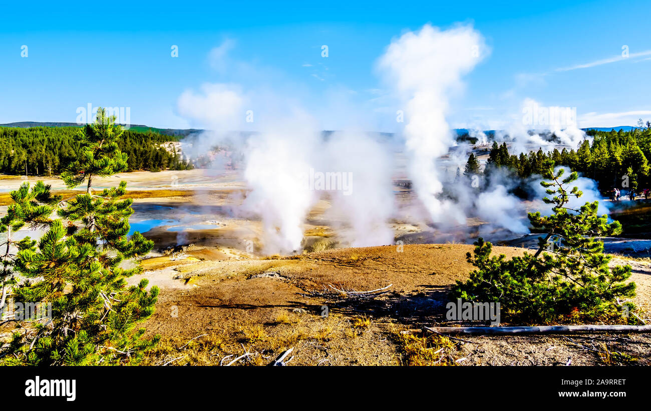 Geysers under blue sky in the Porcelain Basin of Norris Geyser Basin ...