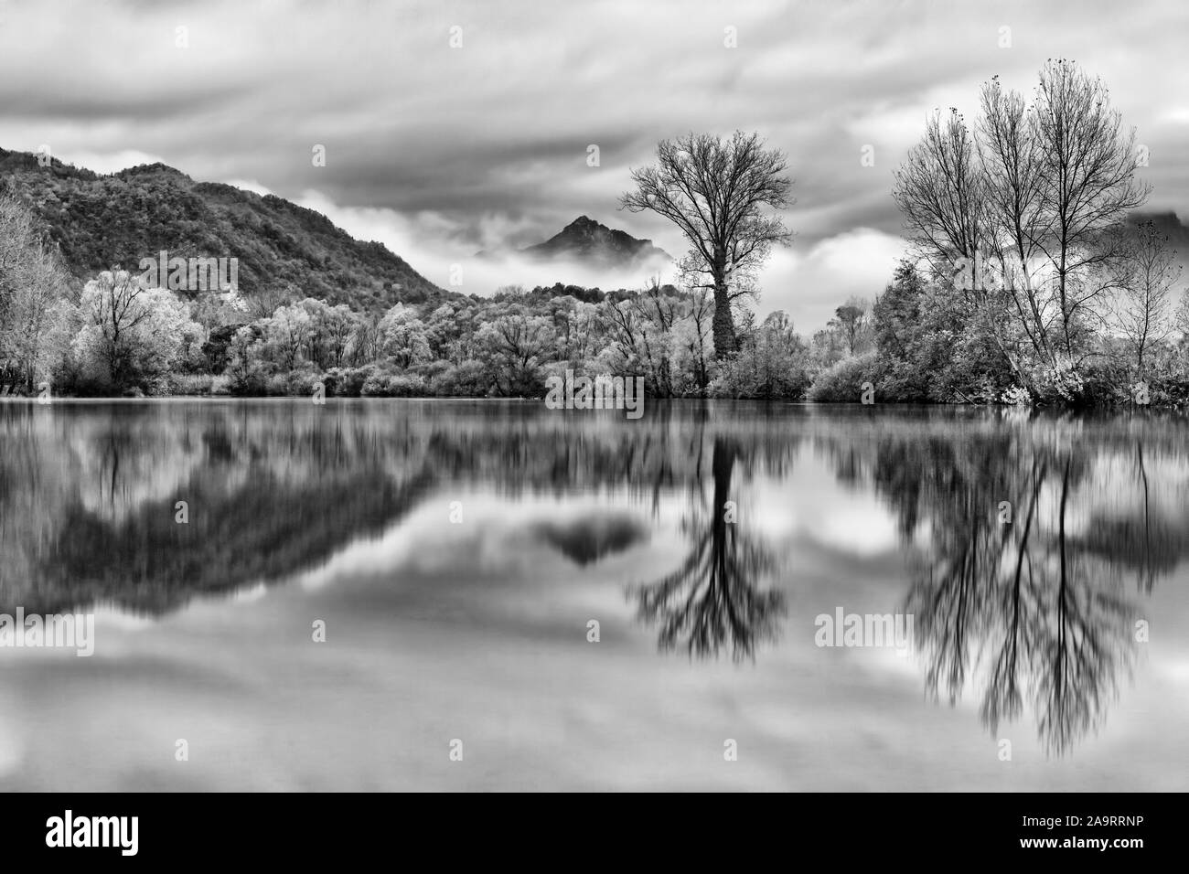 Beautiful reflections forest in lake Black and White Stock Photos ...