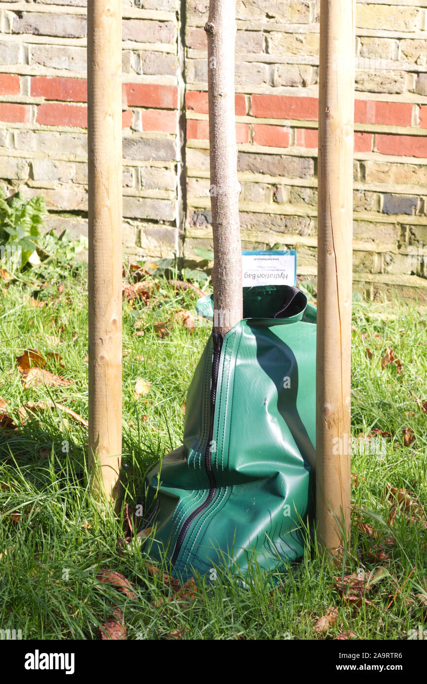 Hydration system hi-res stock photography and images - Alamy