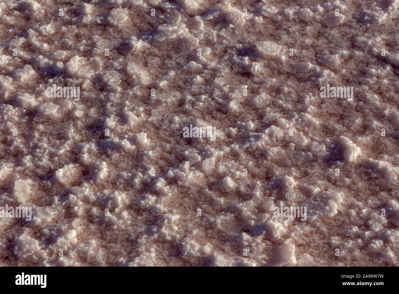 salt crystals in salt lake Stock Photo - Alamy