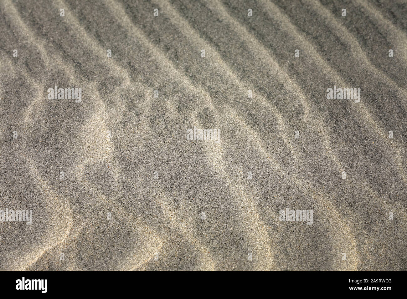 Beach Sand Dune Sea Farewell Spit in New Zealand Stock Photo - Alamy