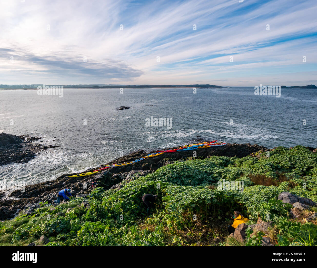 Lamb Island, Firth of Forth, Scotland, United Kingdom. 17th Nov, 2019 ...