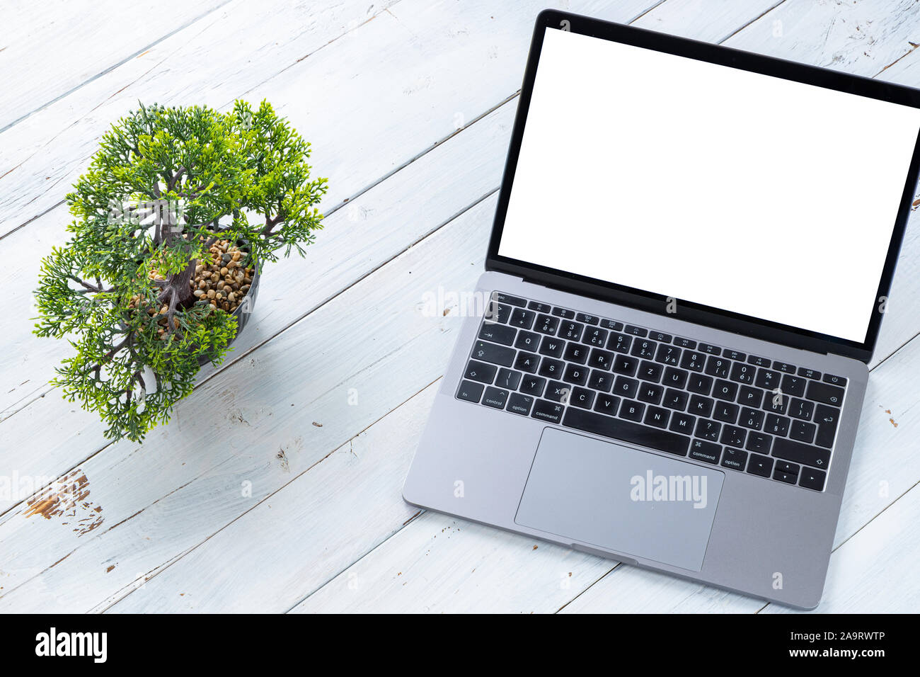 Laptop background plant hi-res stock photography and images - Alamy