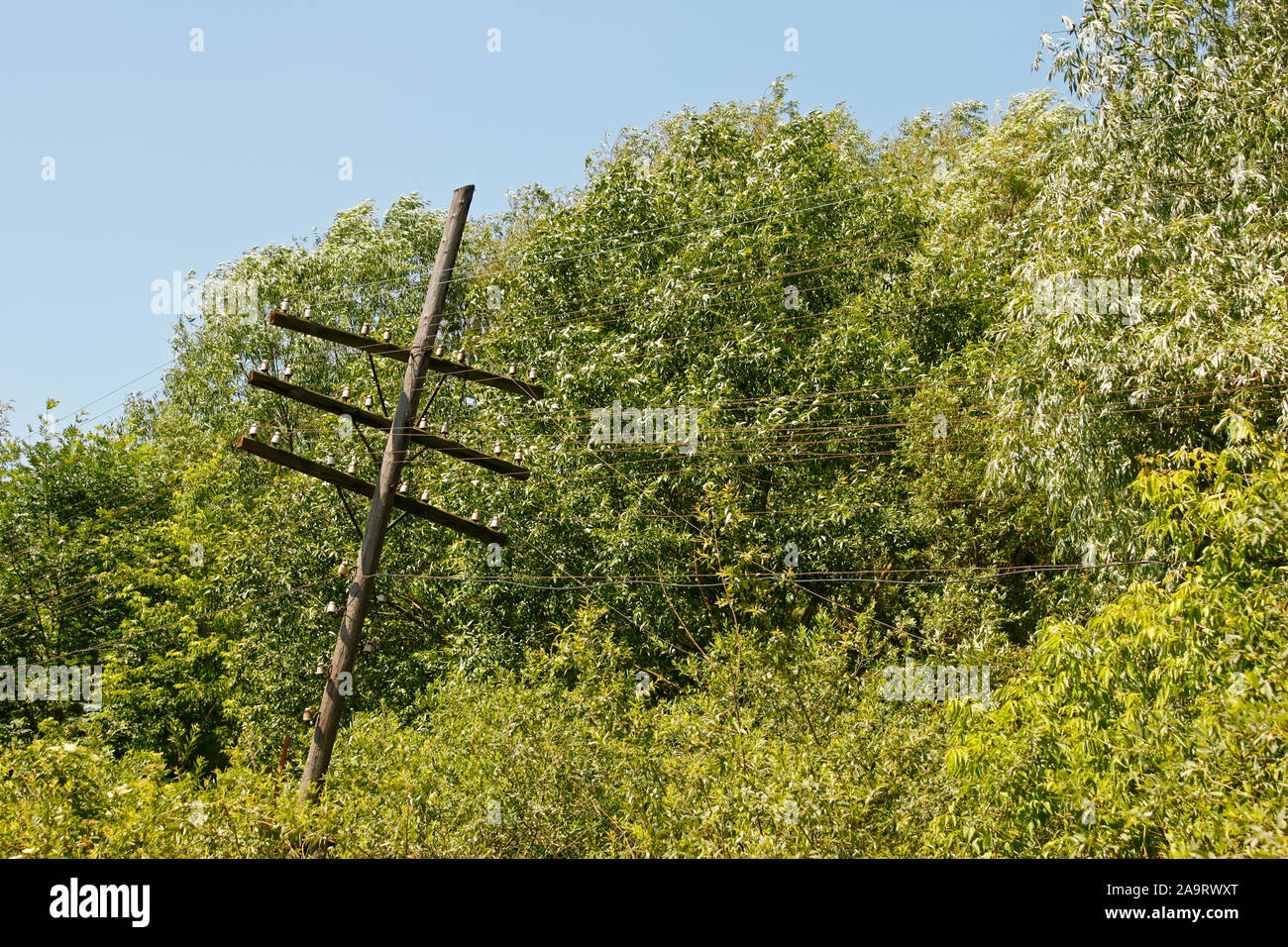 Old rickety wooden telegraph pole with the wire remains against the ...