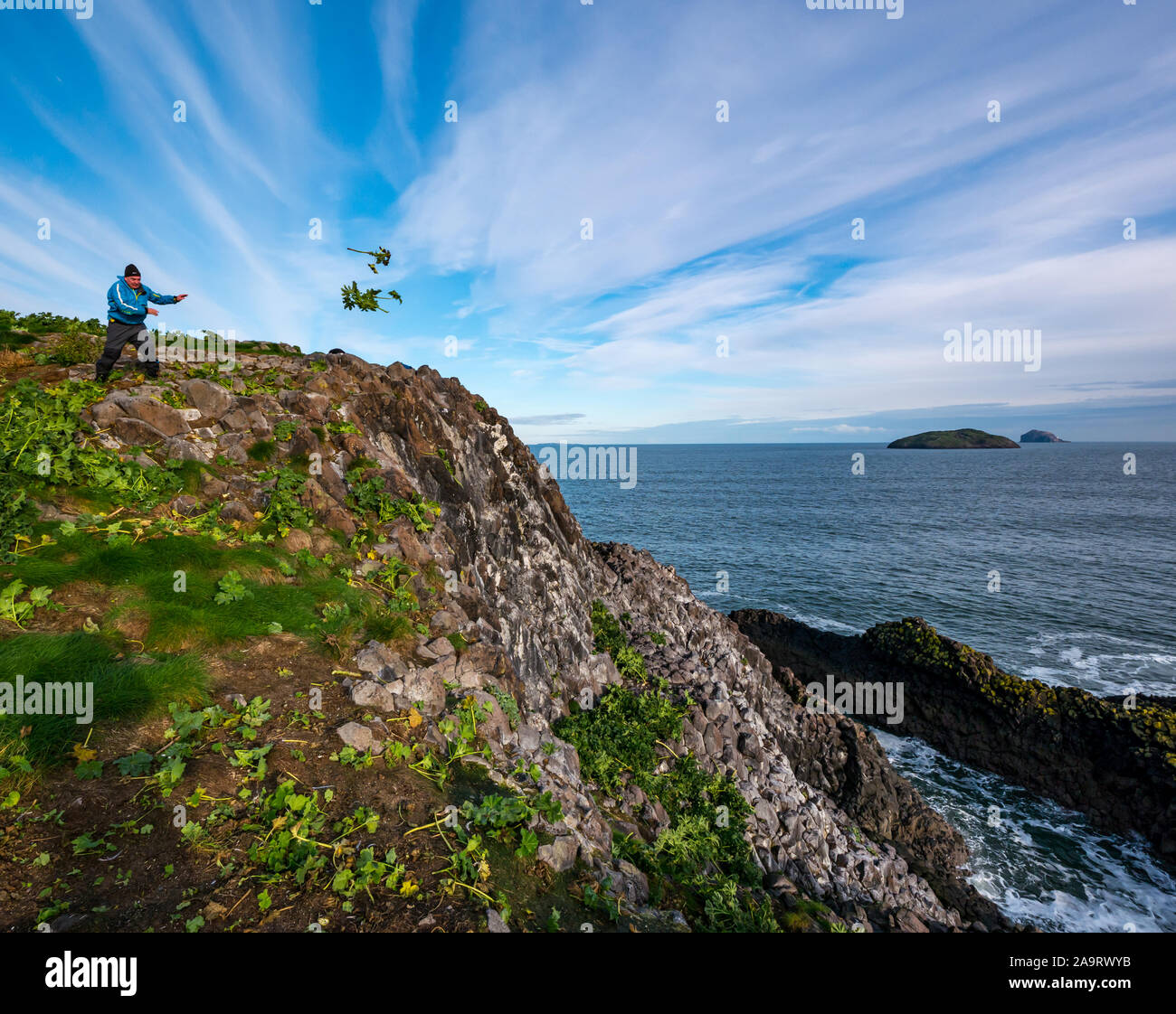 Lamb Island, Firth of Forth, Scotland, United Kingdom. 17th Nov, 2019 ...