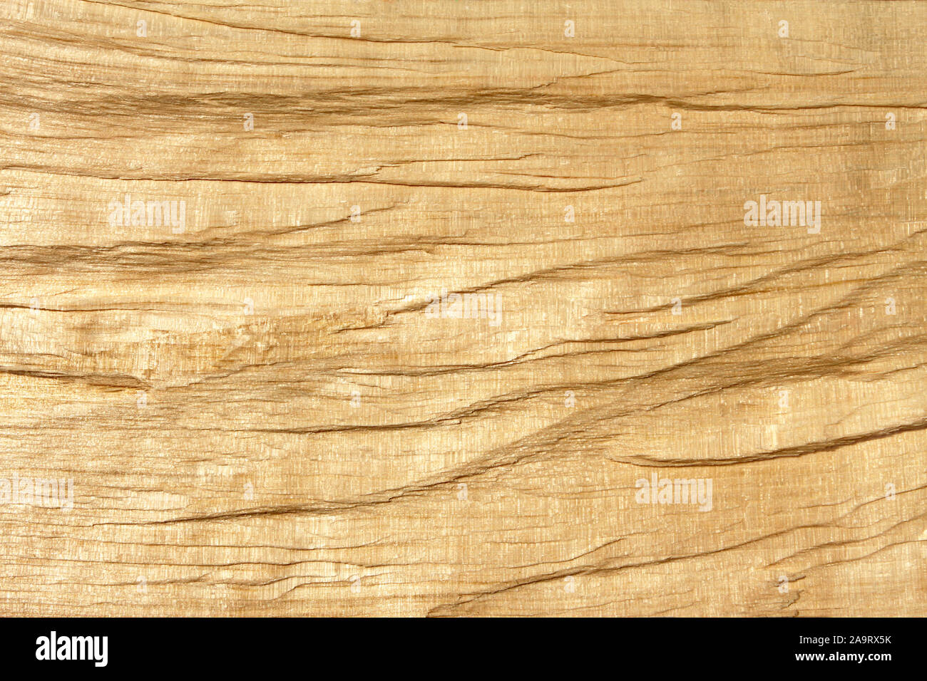 Broken log in bright sunlight as a detailed macro texture Stock Photo ...