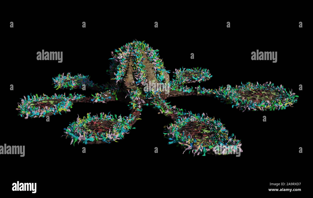 exotic alien plant, extraterrestrial world flora isolated on black ...