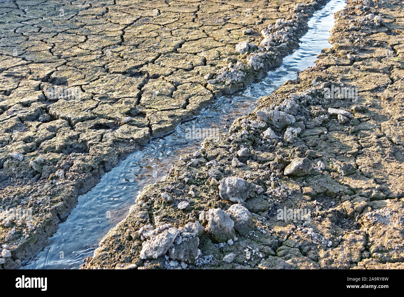 Water stream flowing in the channel among dried grey cracked soil in ...