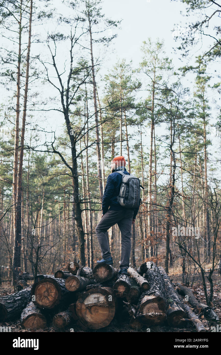 Deforestation vertical hi-res stock photography and images - Alamy