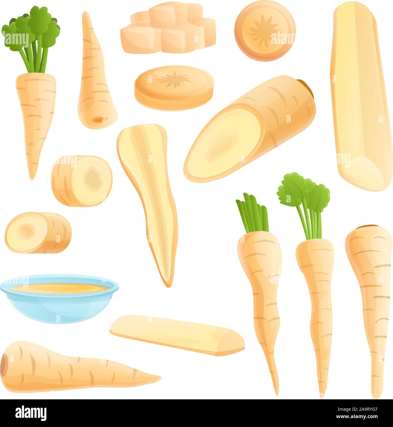 Parsnip icons set. Cartoon set of parsnip vector icons for web design ...