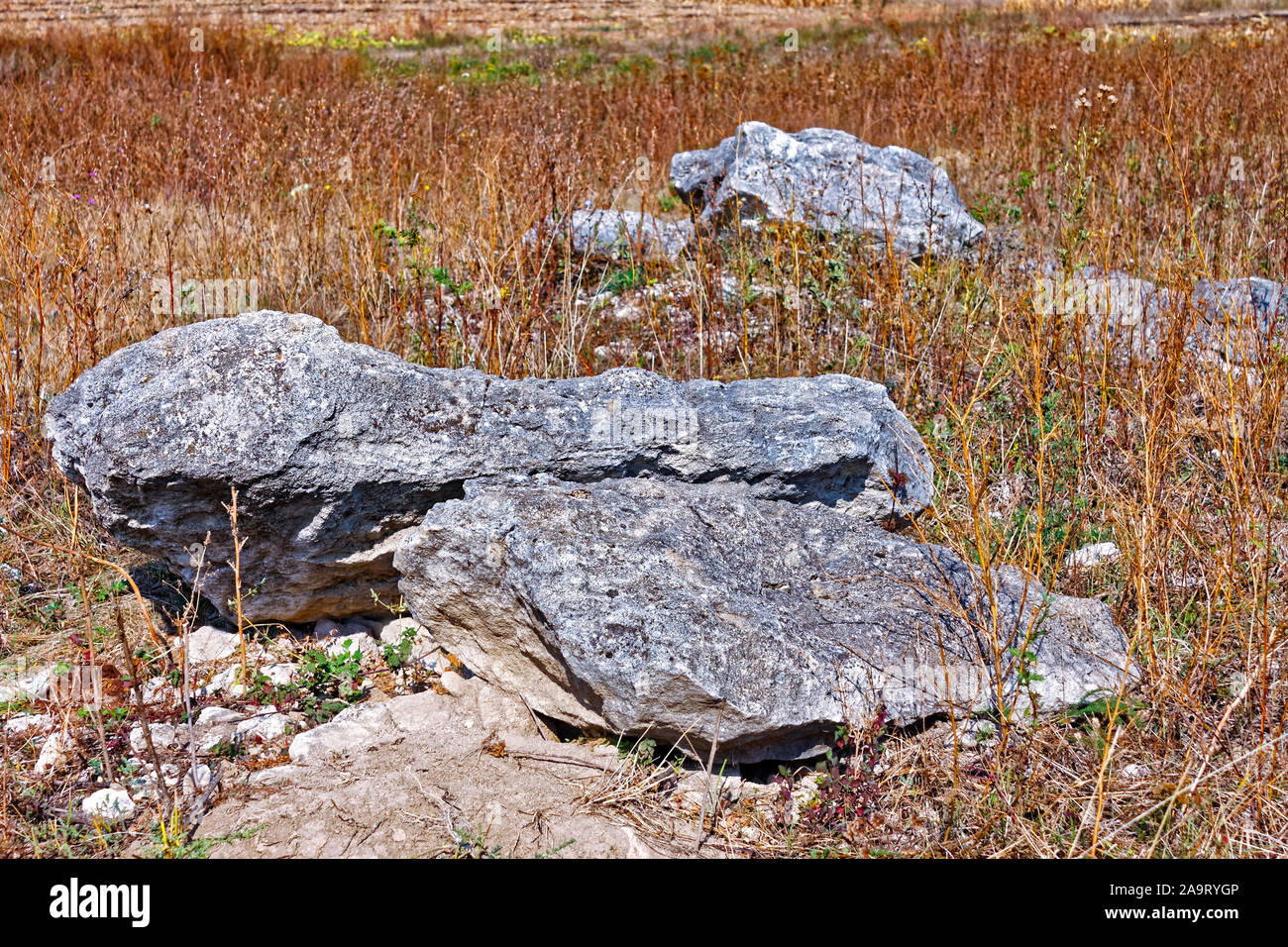 Big limestone stones lying among the autumn meadow with dread grass ...