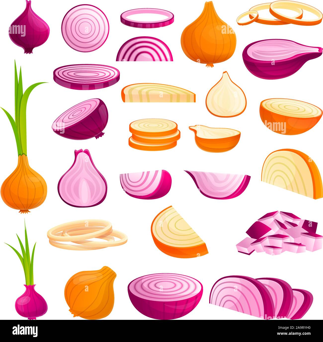 Onion icons set. Cartoon set of onion vector icons for web design Stock ...