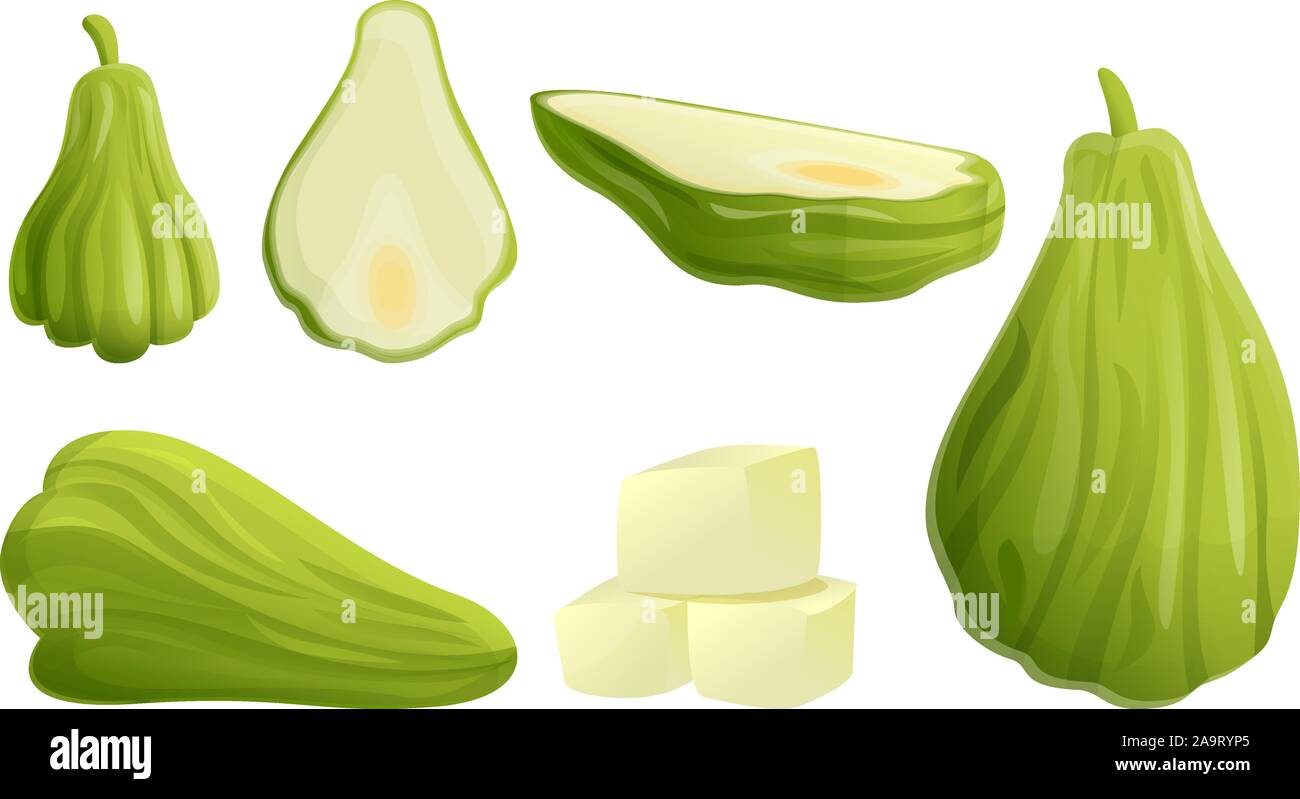 Chayote icons set. Cartoon set of chayote vector icons for web design ...