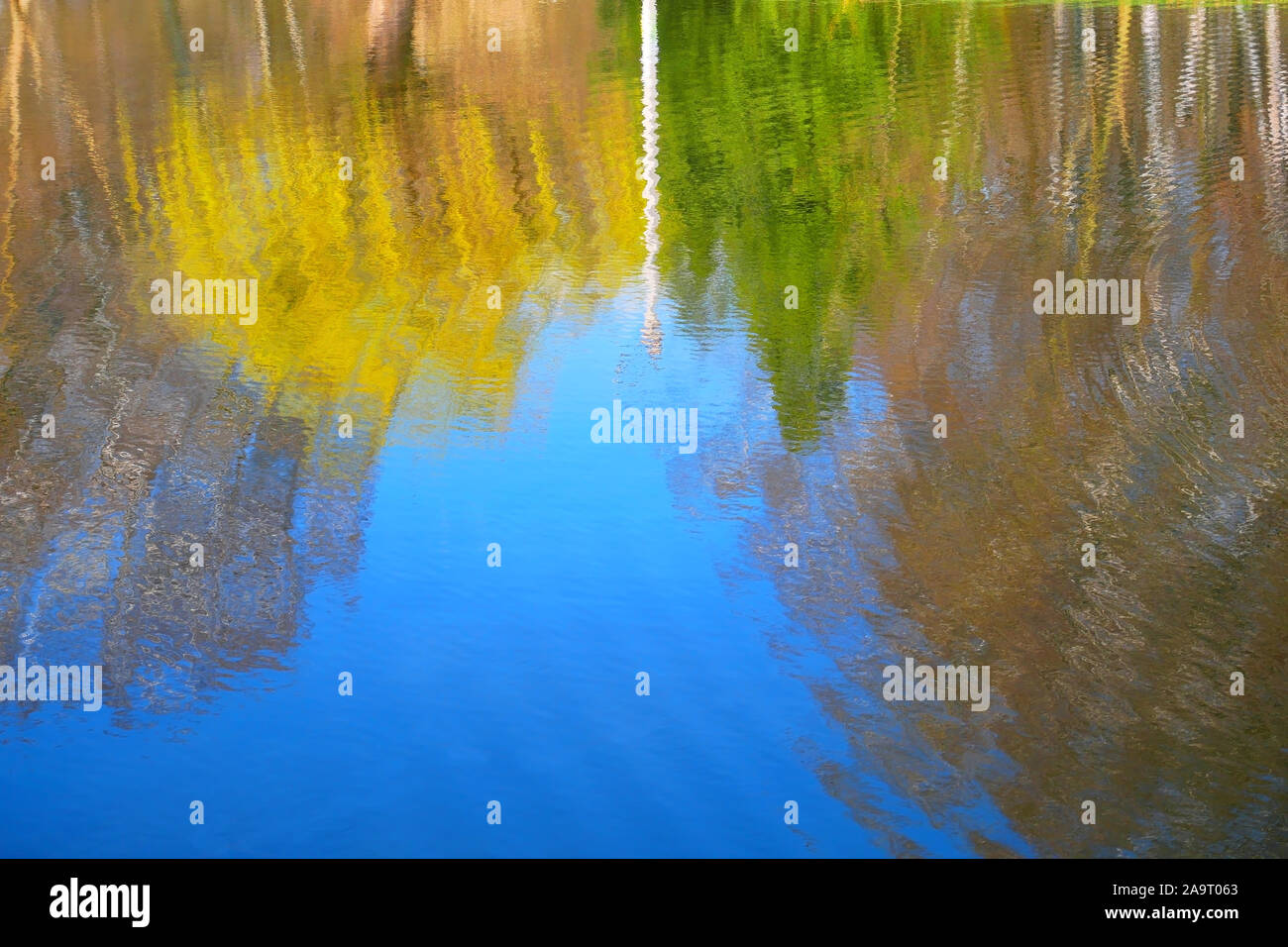 Pond surface in springtime with reflecting the sky, trees and ...