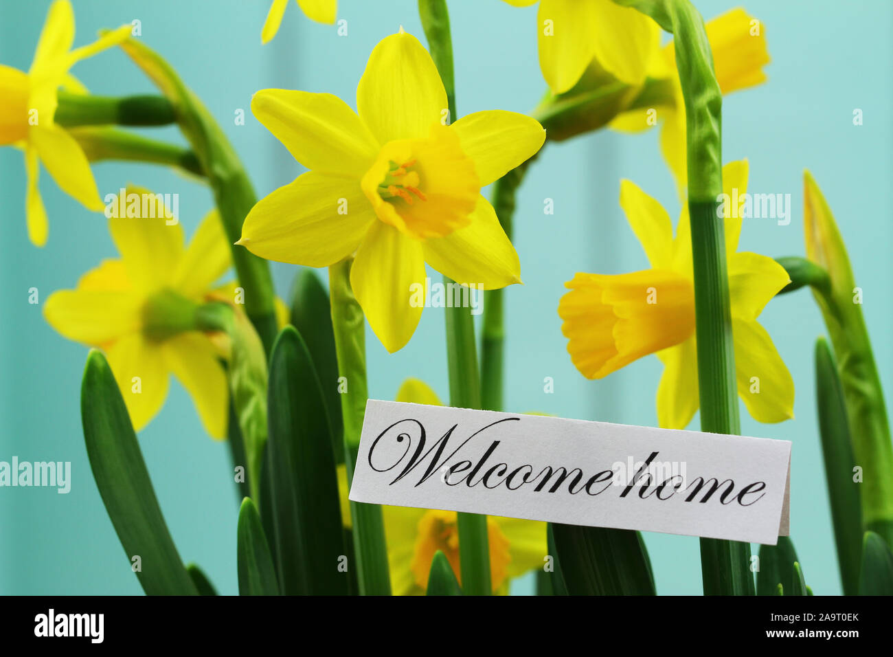 Welcome home card with flowers hi-res stock photography and images - Alamy