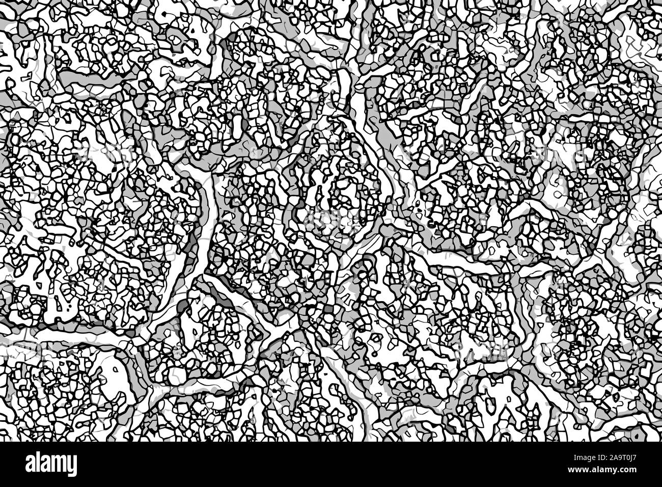 Abstract digital detailed tricky pattern in black, white and grey hues ...