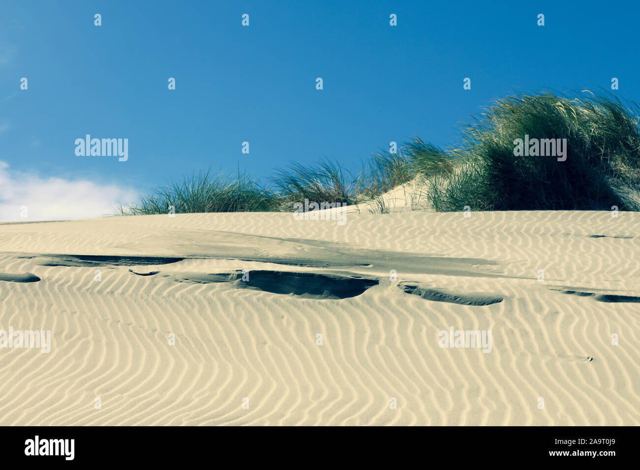 Beach Sand Dune Sea Farewell Spit in New Zealand Stock Photo - Alamy