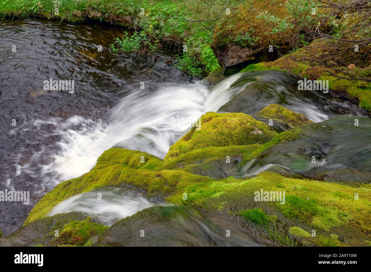 Mossy waterfall hi-res stock photography and images - Alamy